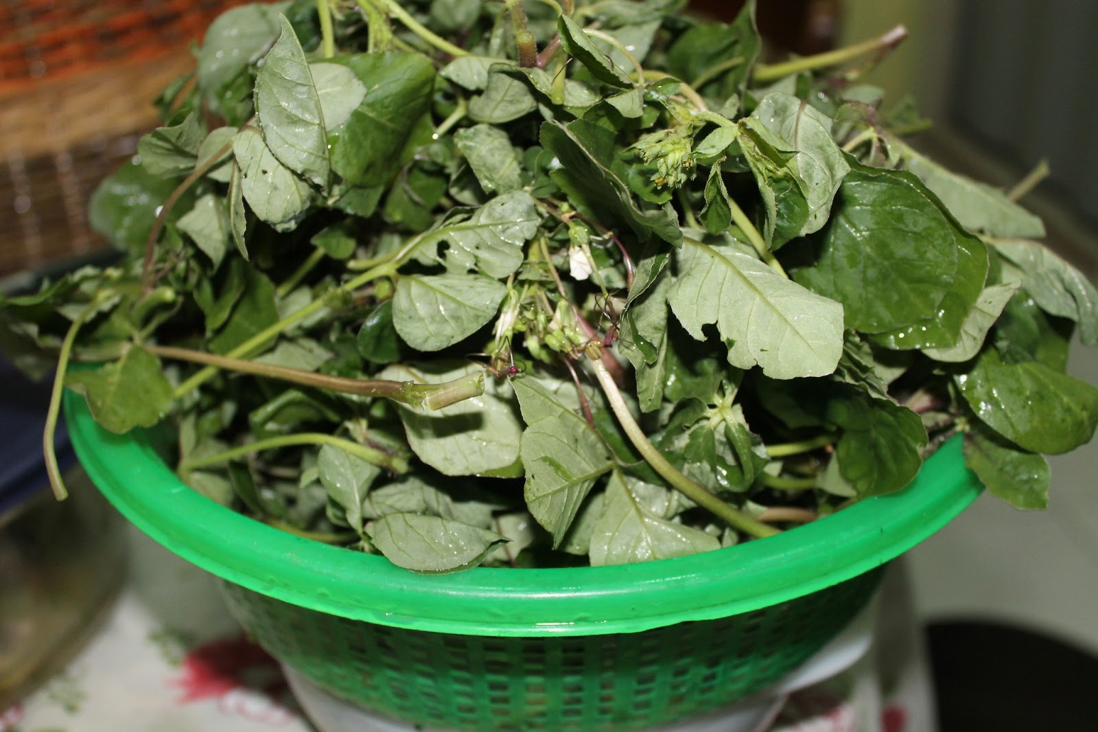 Housewife N Famili: Cara buat Jeruk Maman